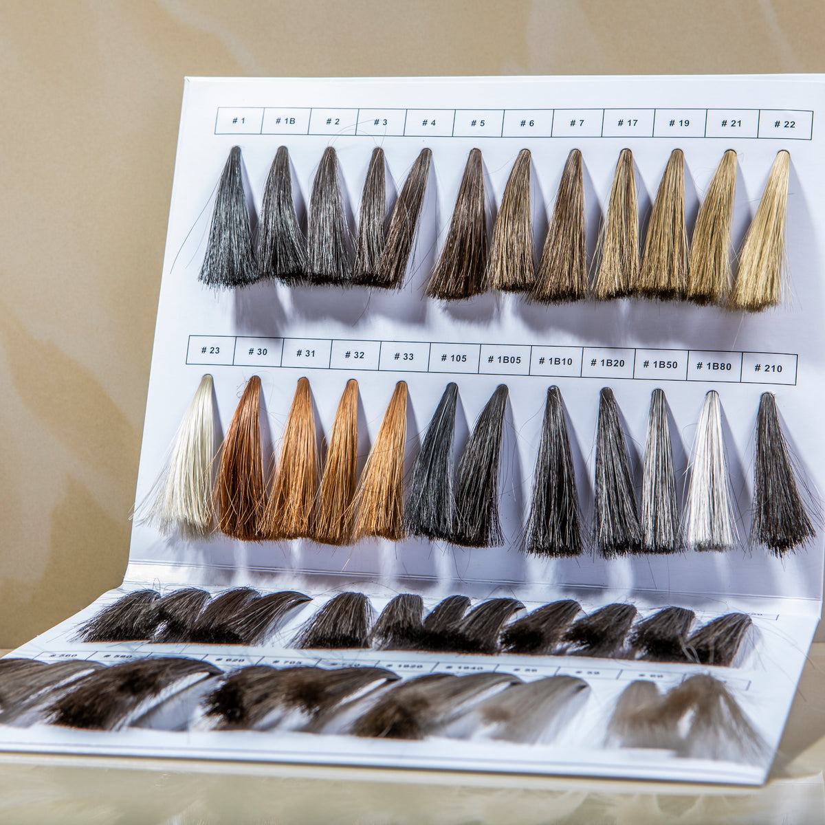 Men's Hair System Color Chart – NOBO Corporation